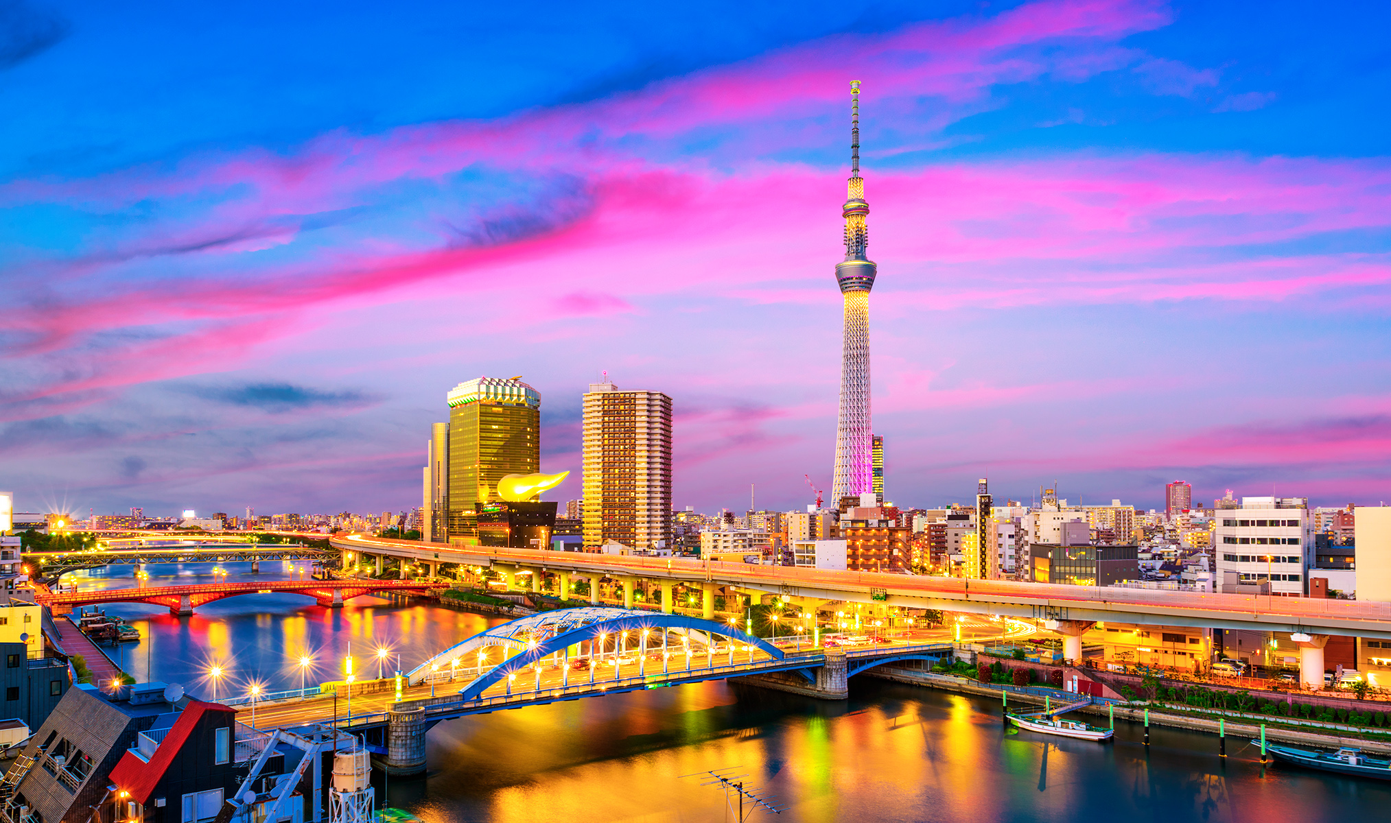 Tokyo Bucket List for 2024: 25 Best Things to Do in Tokyo